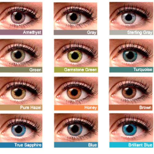 Coloured Contact Lenses Archives | Maxvision